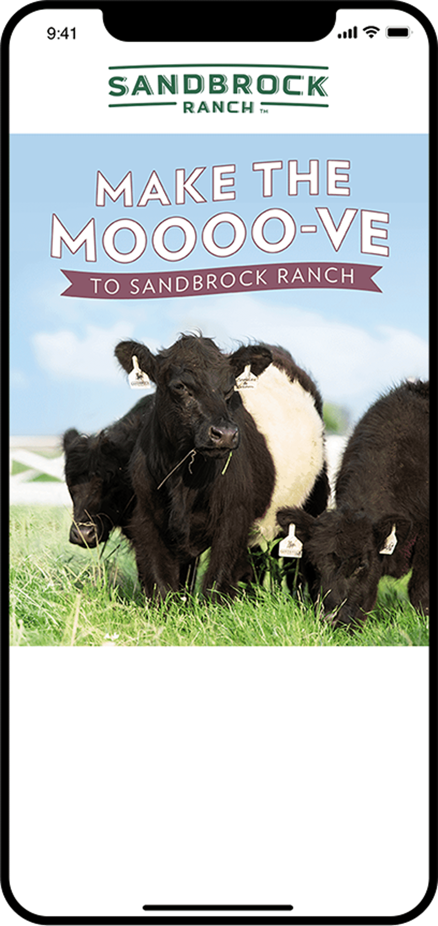 Sandbrock Ranch Project | L&P Marketing
